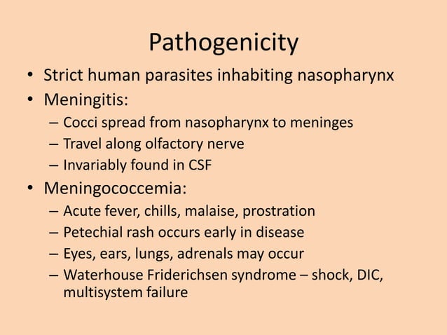 Meningococci | PPTX | Infectious Diseases | Diseases and Conditions