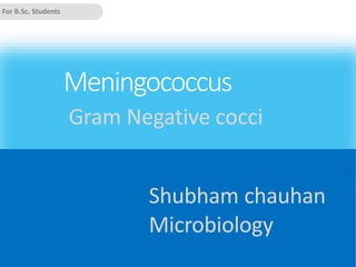 meningococci-190124192447ueueueuejj.pptx