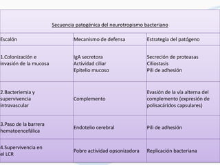 Meningoencefalitis bacteriana, viral y tuberculosa | PPTX