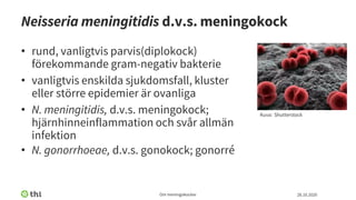 Meningokocksjukdomar i Finland | PDF