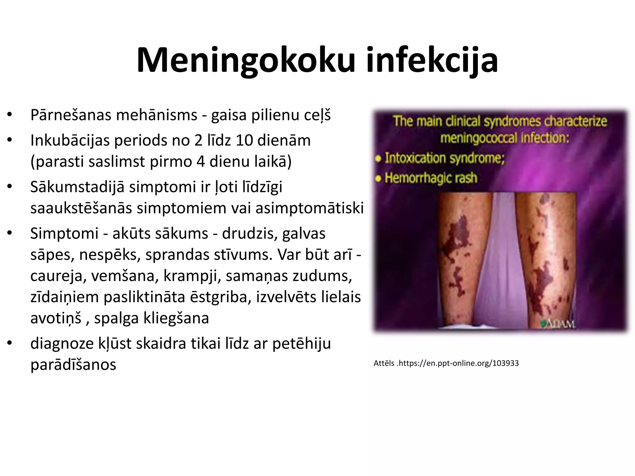 Meningokoku infekcija | PPT