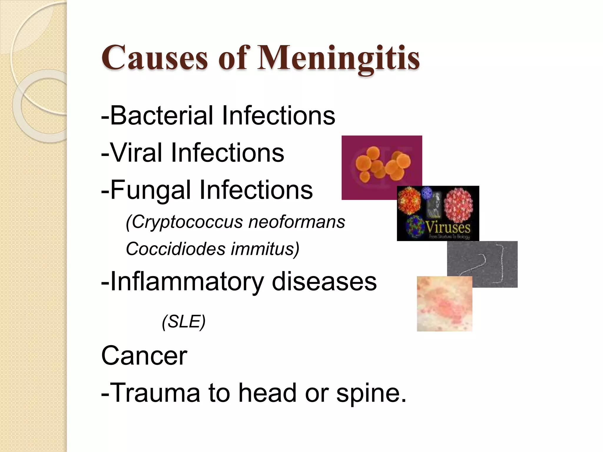 meninigitis in pediatrics ppt=.pptx