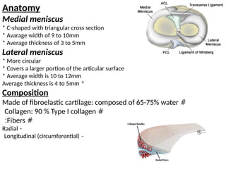 Meniscal Injuries fast review and treatment | PPT