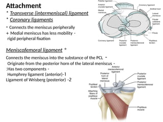Meniscal Injuries fast review and treatment | PPTX