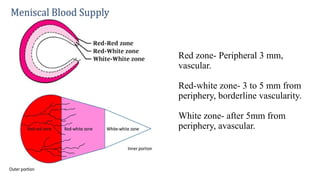 Meniscal Injuries diagnosis investigations and management | PPT