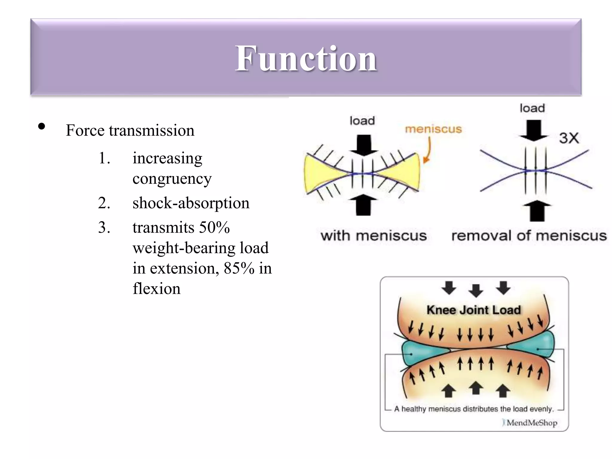 Meniscal injury | PPTX