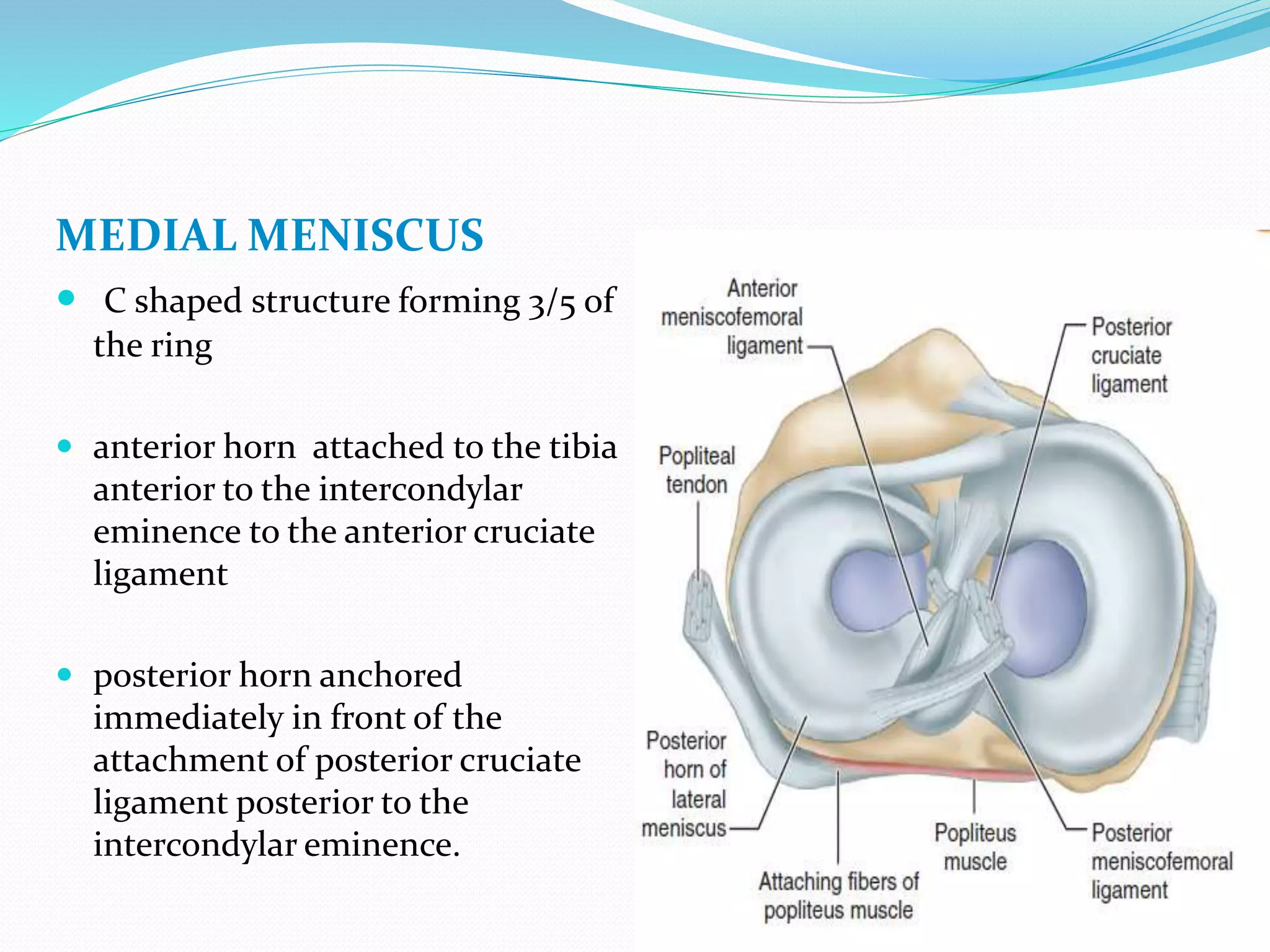 Meniscal injury | PPTX