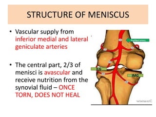 Meniscal injury | PPTX