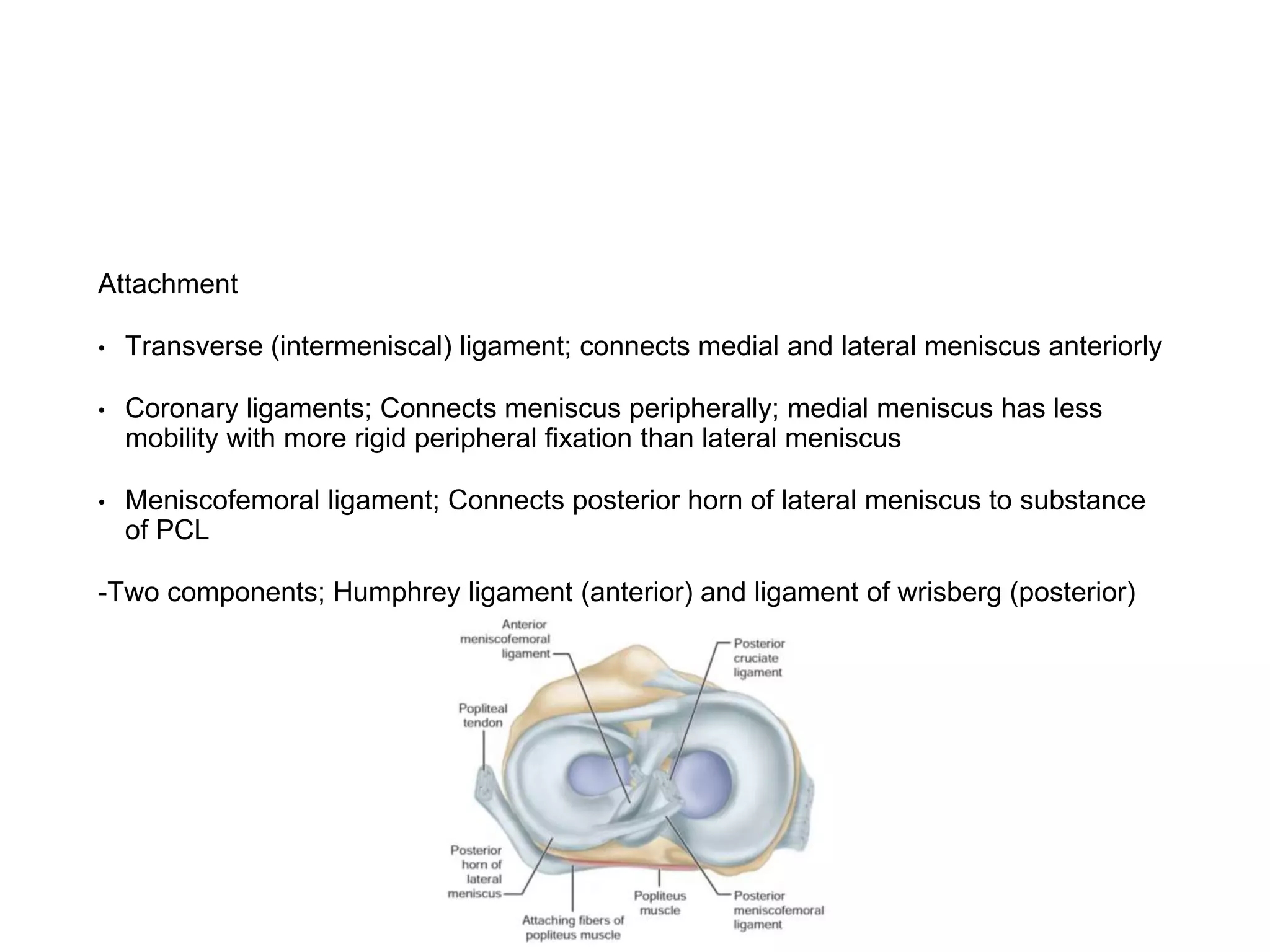 Meniscal injury | PPTX