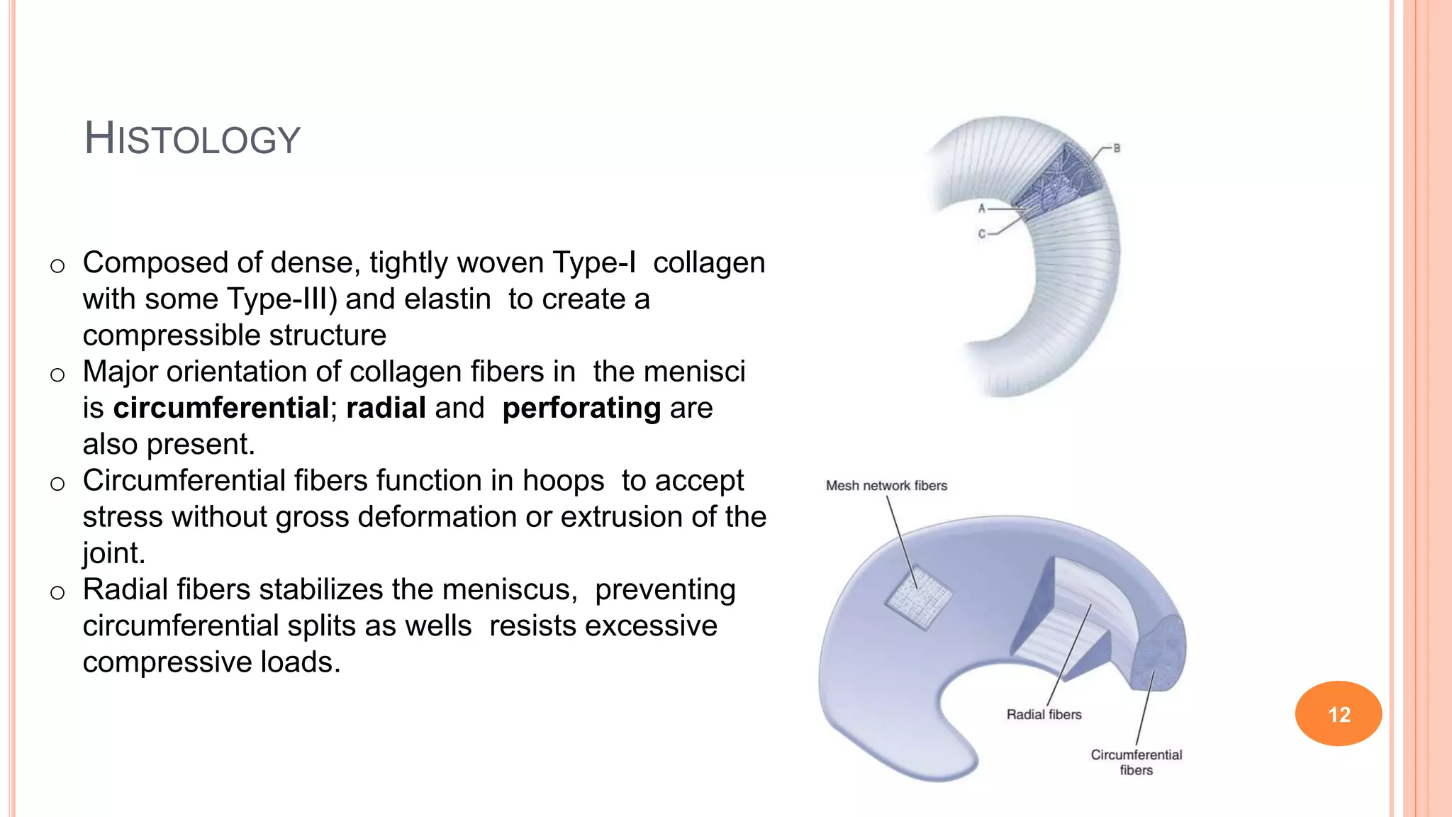Meniscal injuries | PPTX