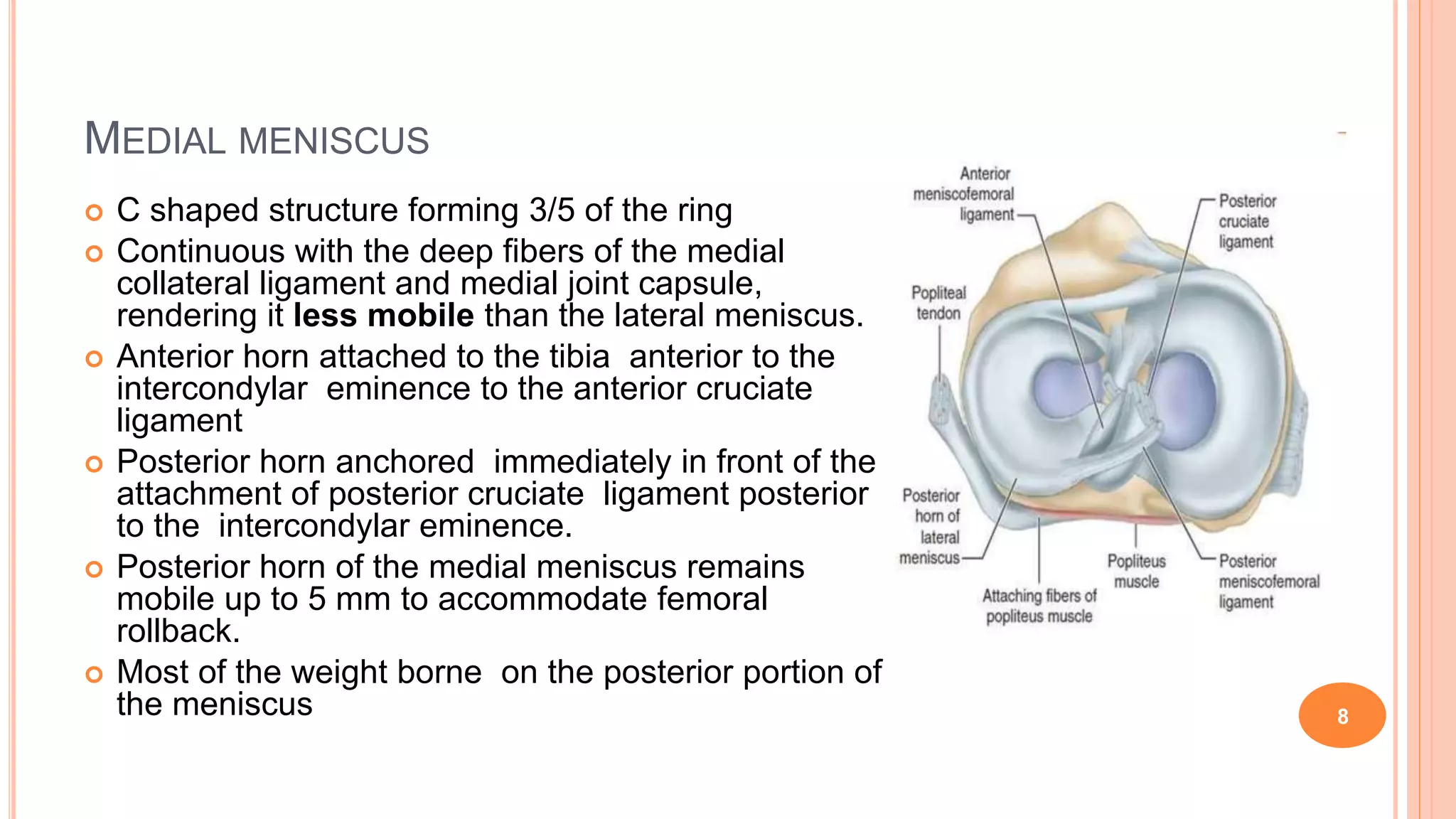 Meniscal injuries | PPTX
