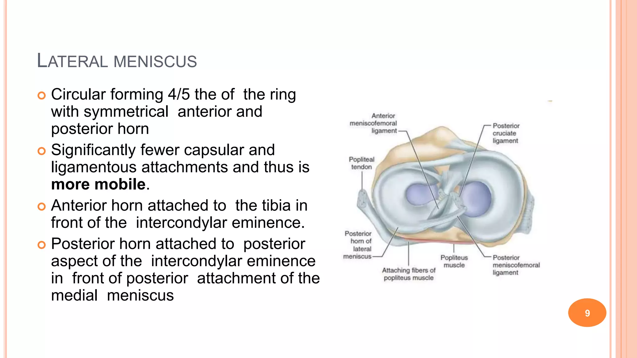 Meniscal injuries | PPTX