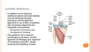 Meniscal injuries | PPTX