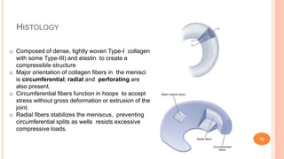 Meniscal injuries | PPTX