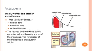 Meniscal injuries | PPTX