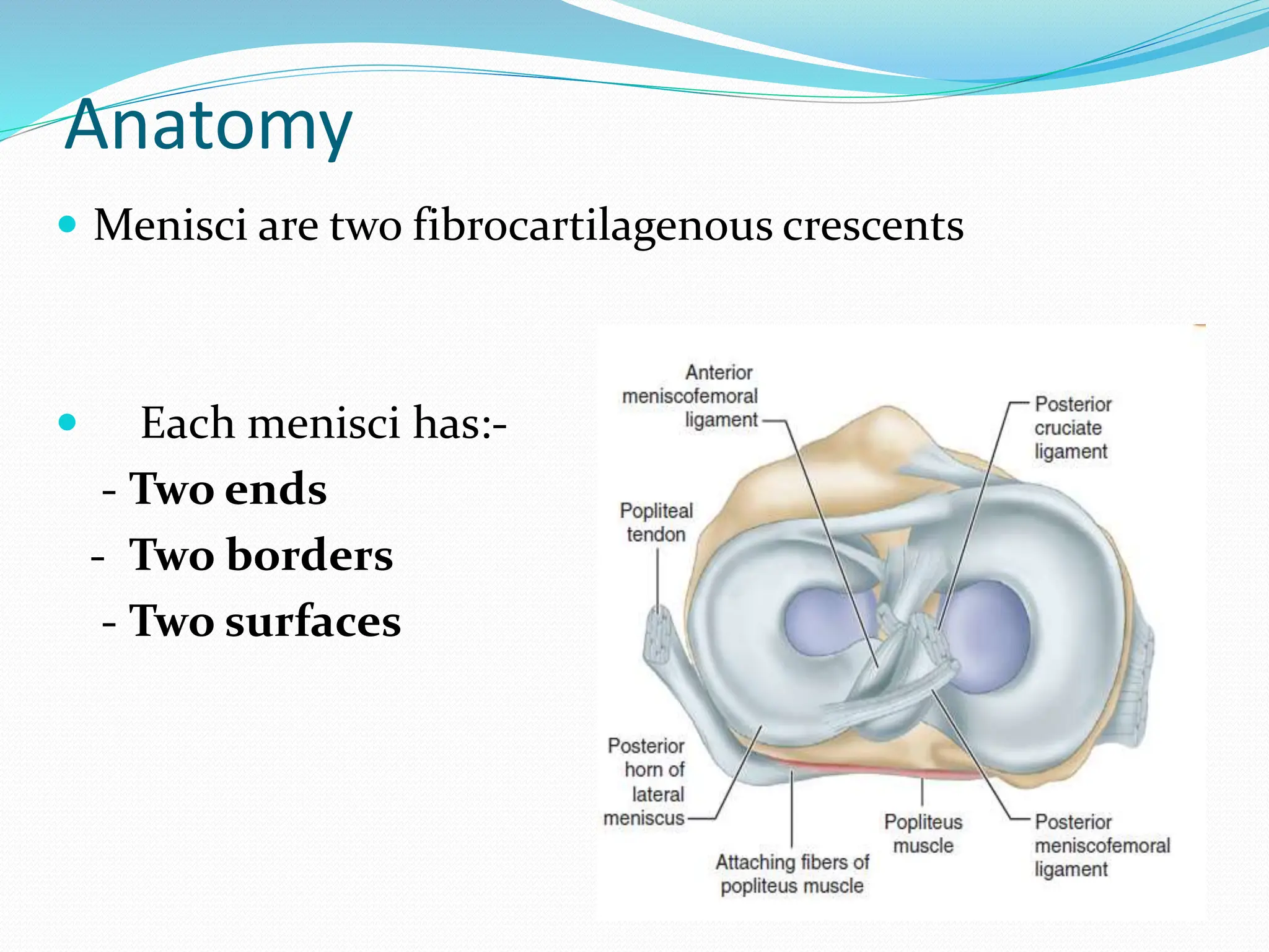 Meniscal Injury.pptx. . | PPTX