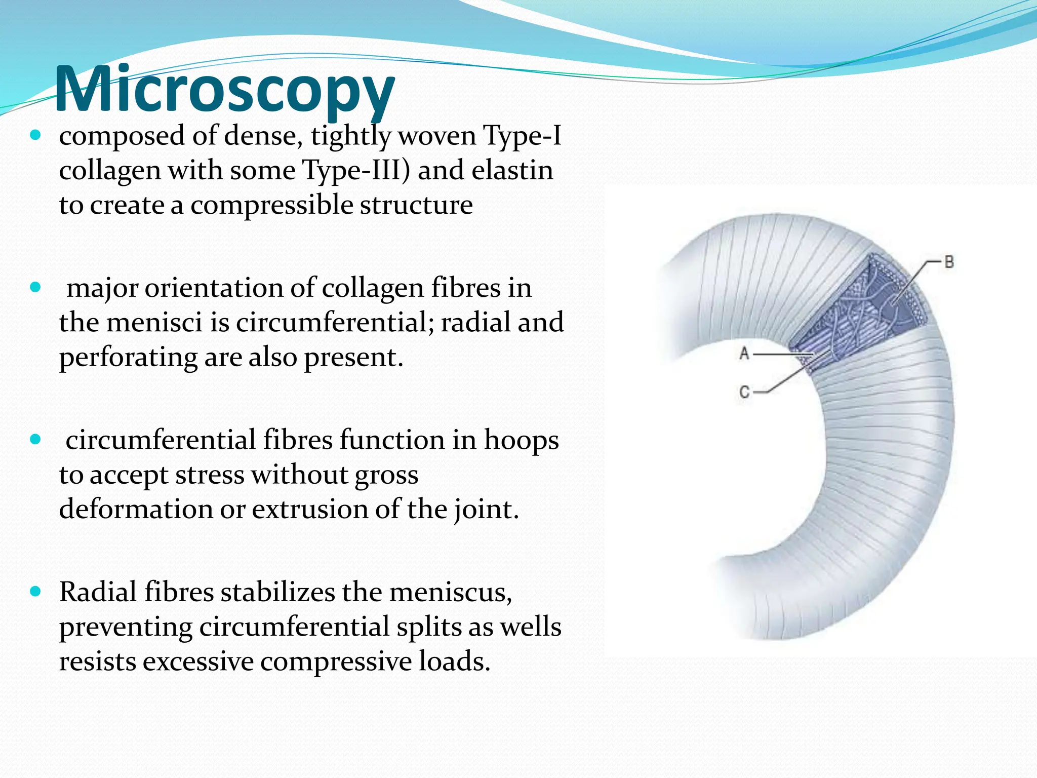 Meniscal Injury.pptx. . | PPTX