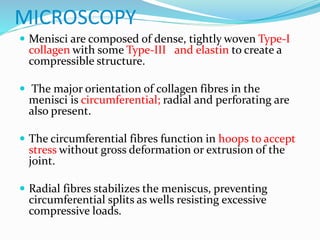 Meniscal pathologies and cartilage injuries | PPTX