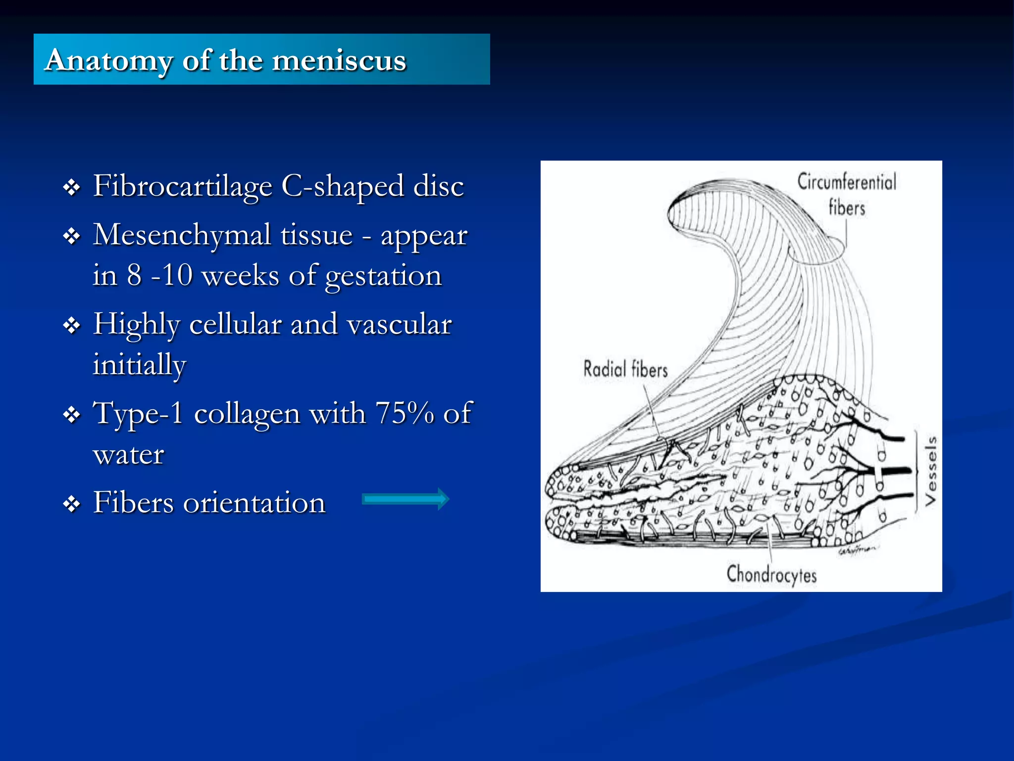 Meniscal pathology | PPT