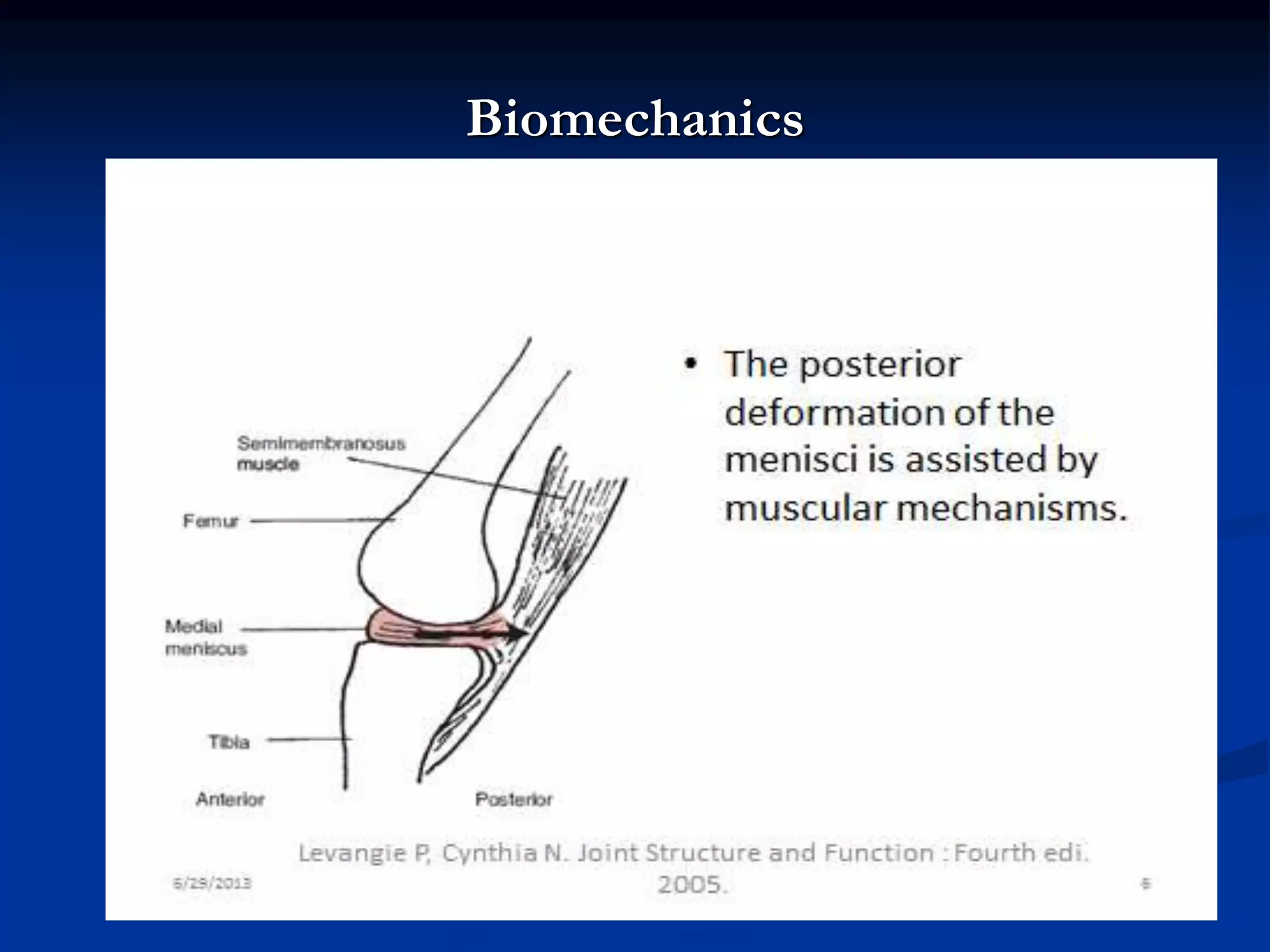 Meniscal pathology | PPT