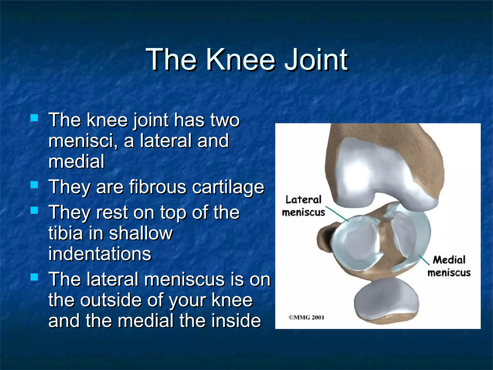 Meniscal tears | PPT