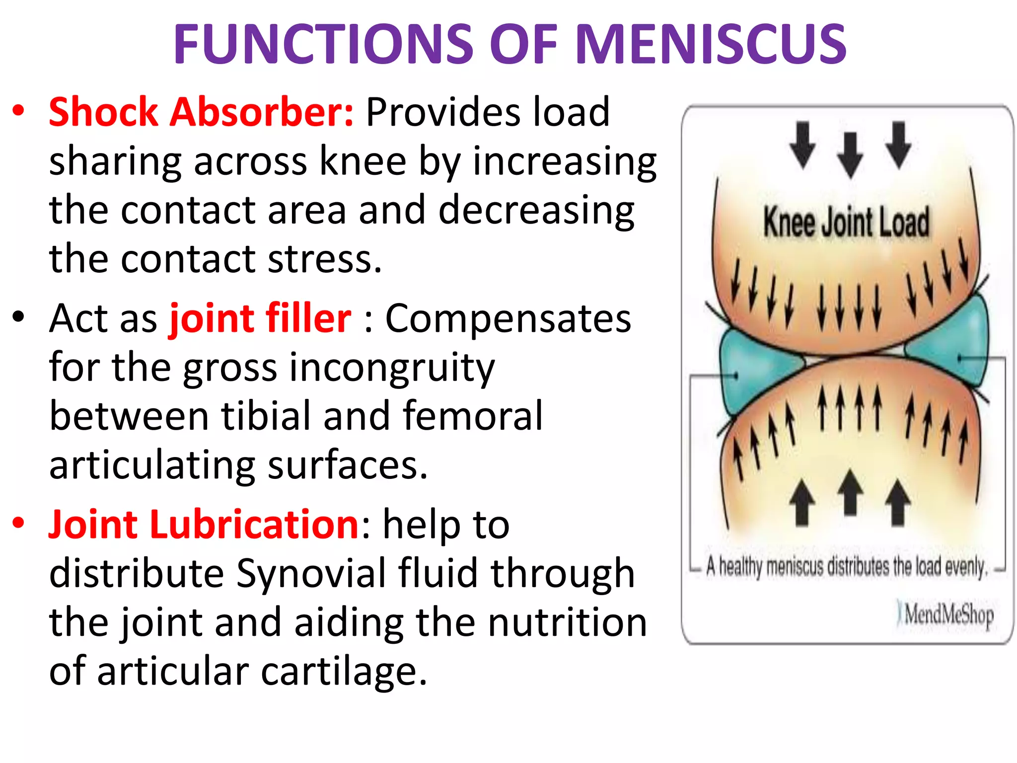 Meniscus injury | PPTX