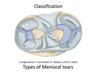Meniscus - Anatomy, function and injury | PPTX