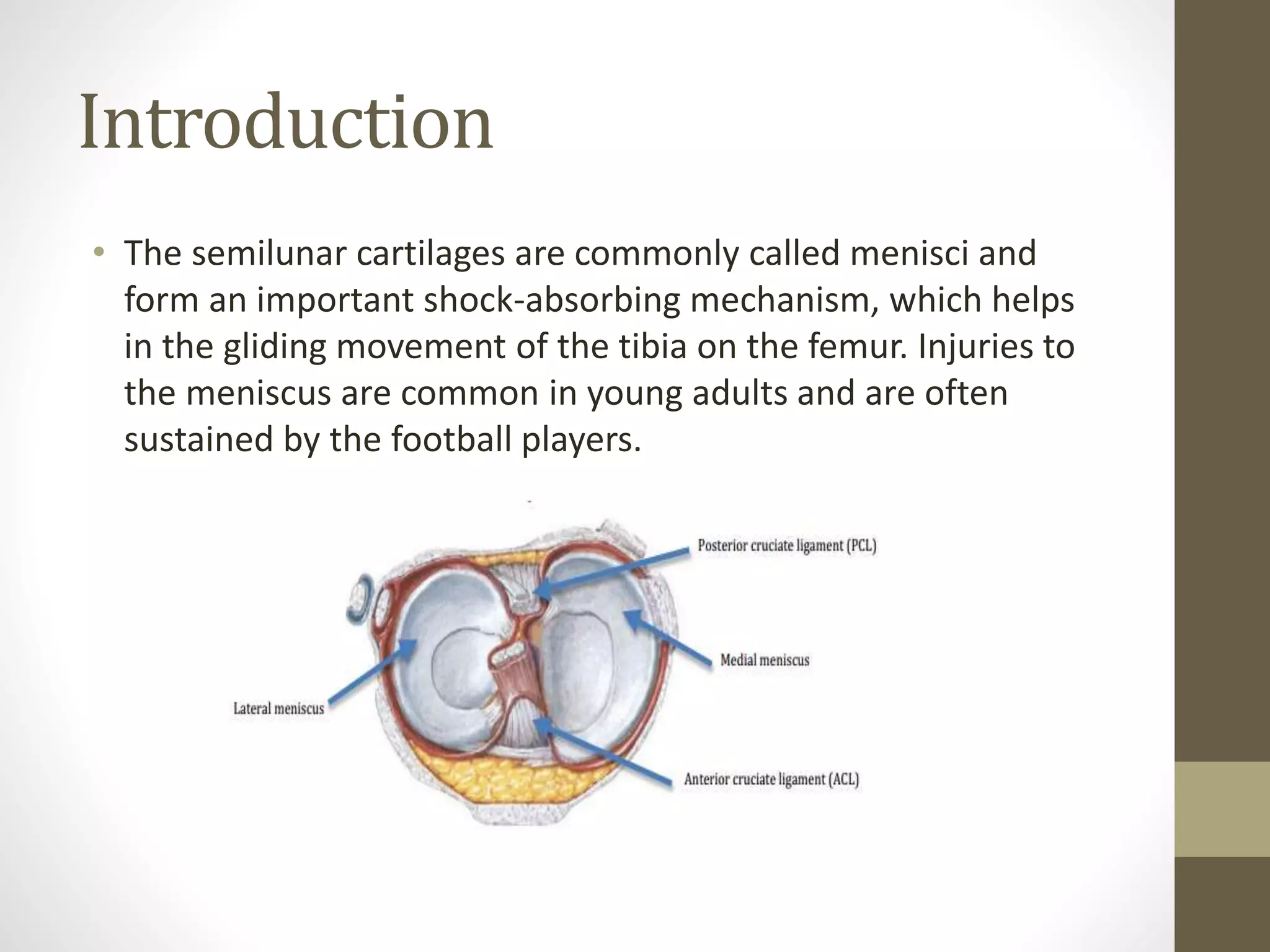 Meniscus injury / tear | PPTX
