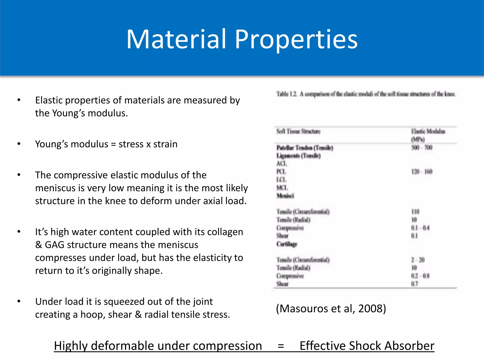 Meniscus: Structure, Role & Injury. | PPTX