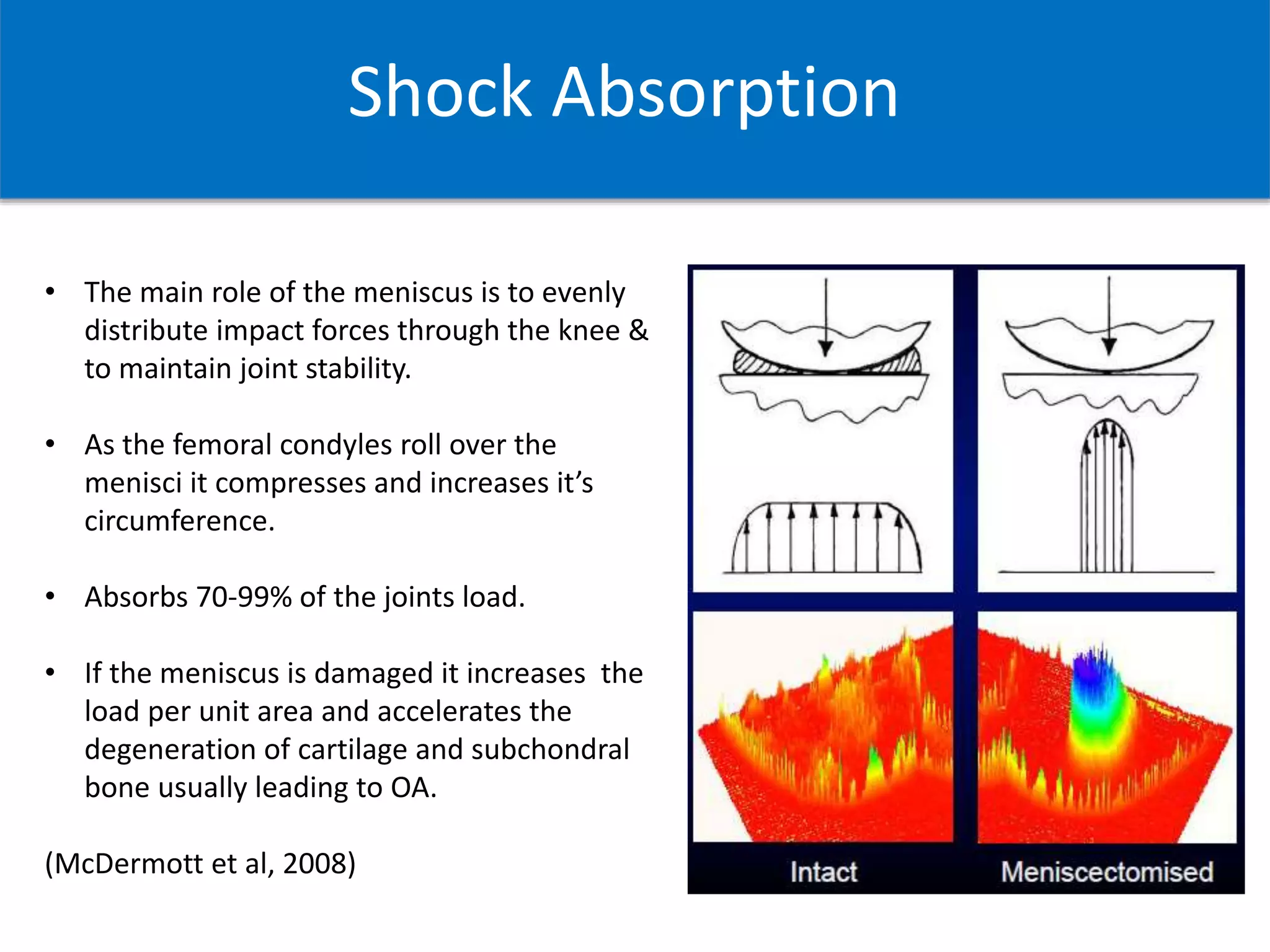 Meniscus: Structure, Role & Injury. | PPTX
