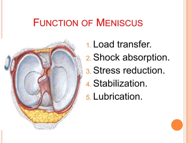 Arthroscopic Meniscus Surgery: Resect or Repair 2014 | PPTX | Death ...