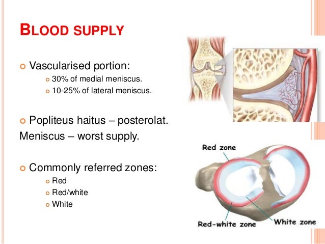 Arthroscopic Meniscus Surgery: Resect or Repair 2014