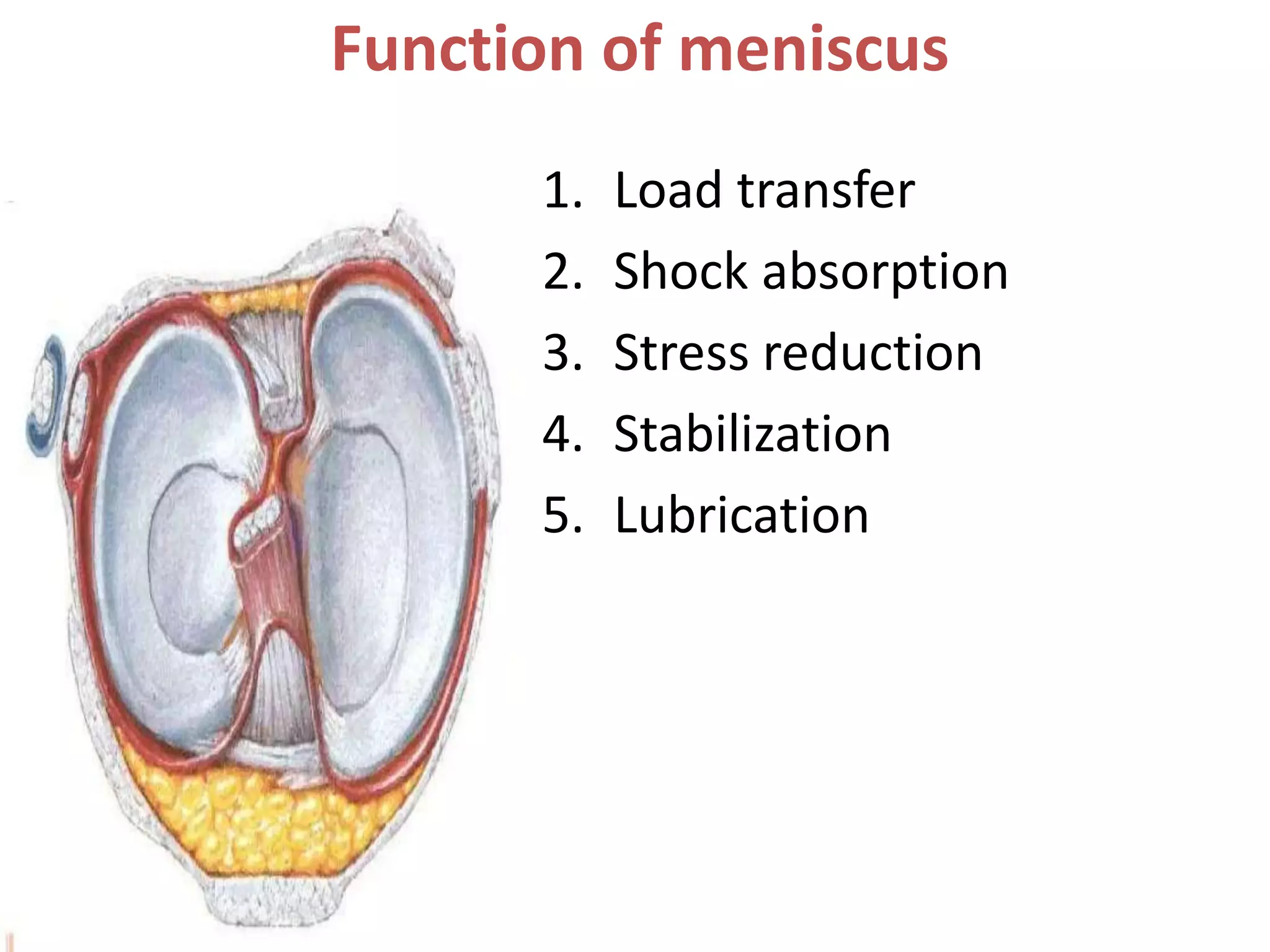 MENISCUS SURGERY.pptx
