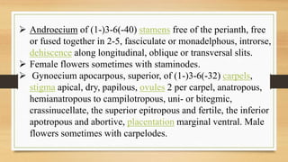 Menispermaceae | PPTX