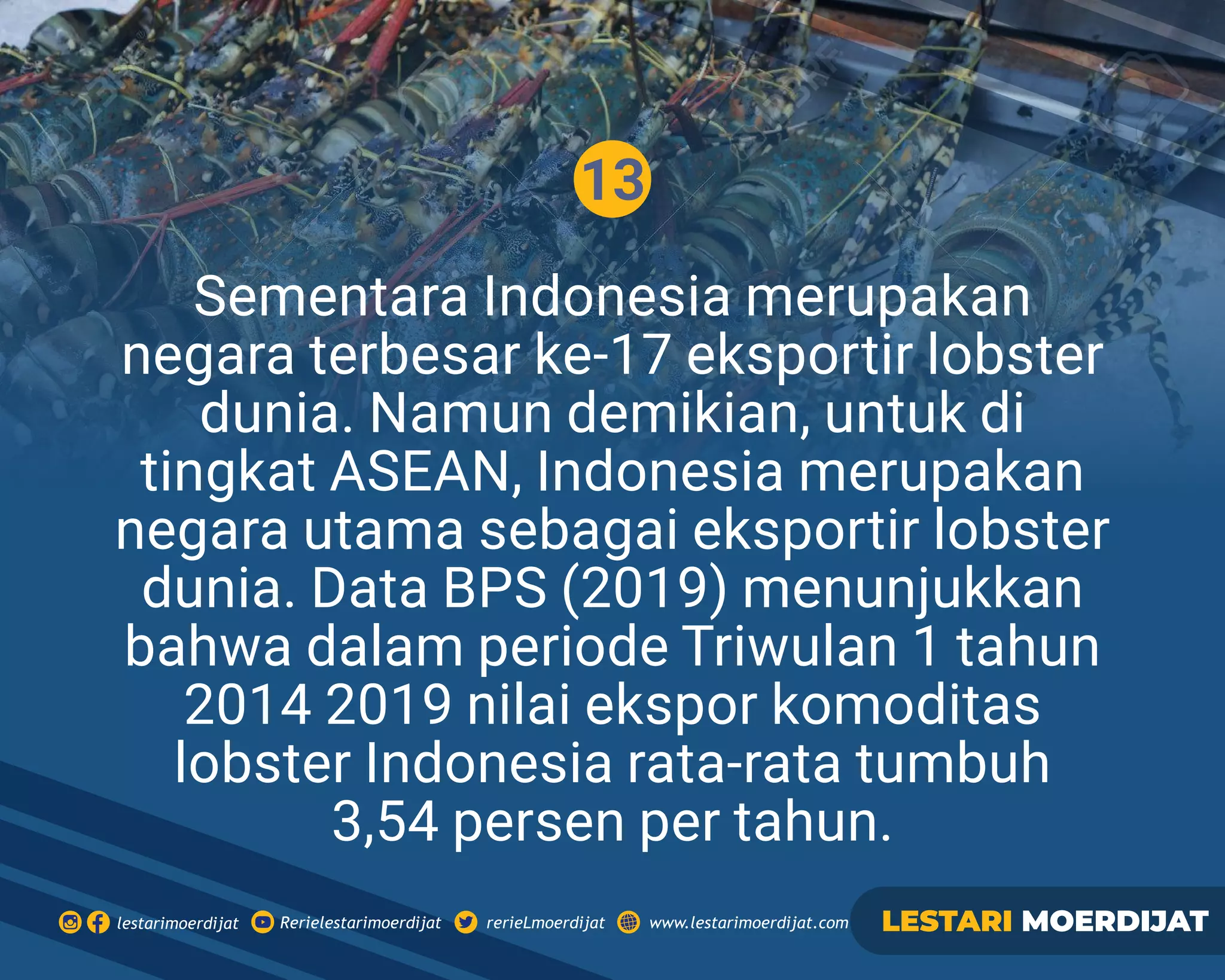 Menjaga Keberlanjutan Ekonomi Lobster Ppt
