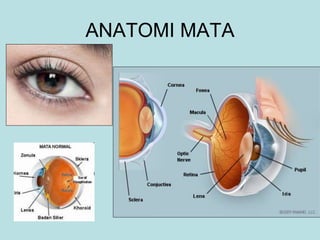 Menjaga kesehatan mata | PPTX