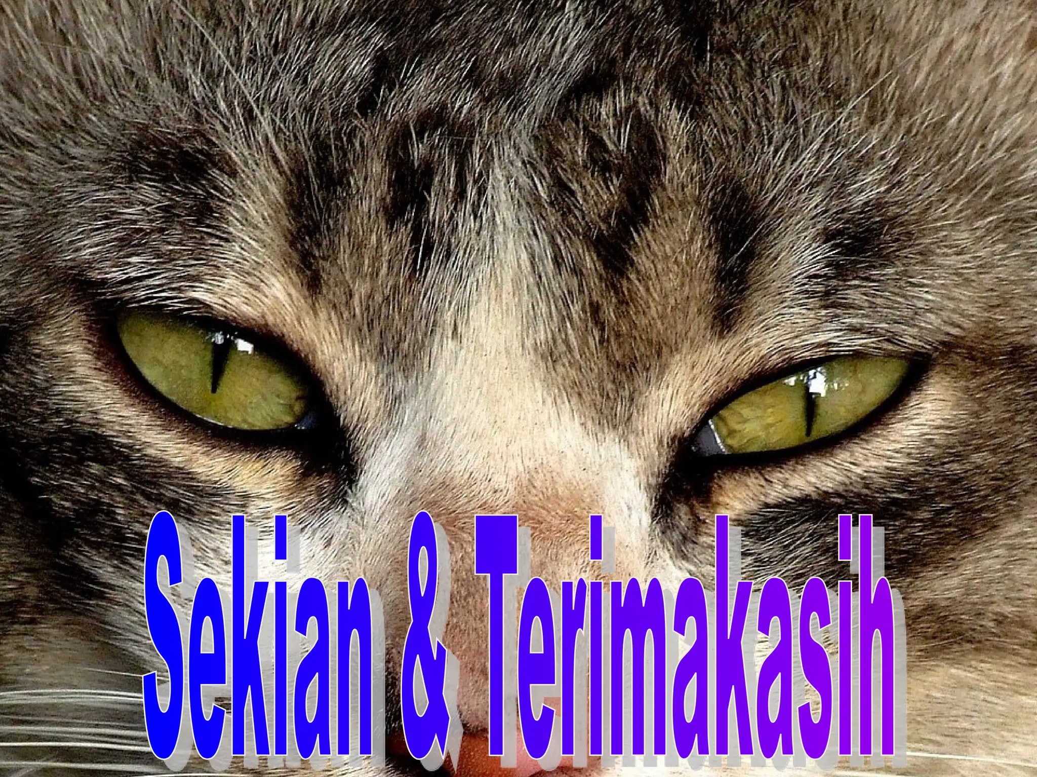 Presentasi Menjaga kesehatan mata ppt | PPT