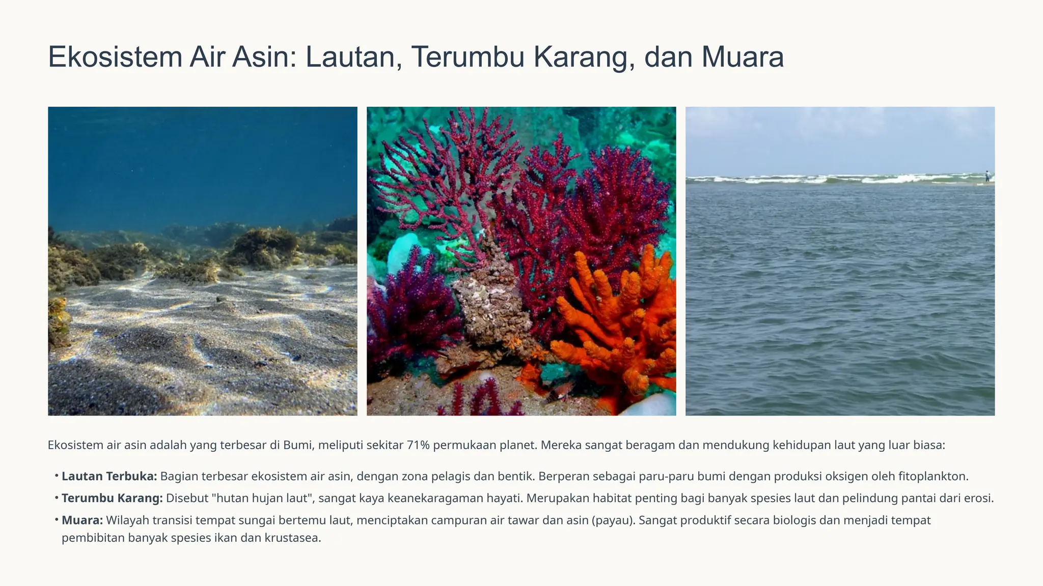 Menjelajahi-Keberagaman-Tipe-Ekosistem-di-Bumi.pptx_20250717_130635 ...