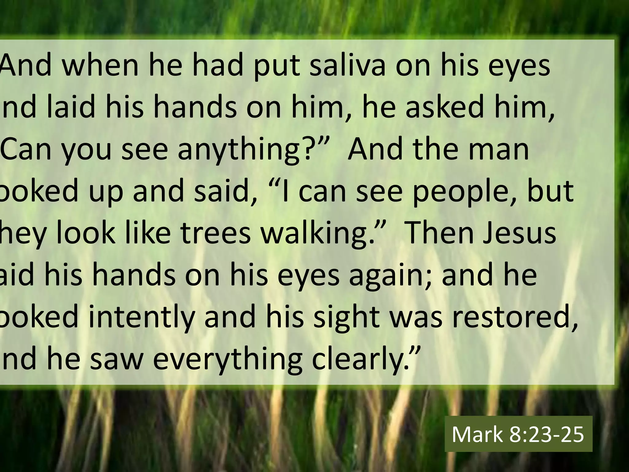 Men Like Trees Walking | PPTX