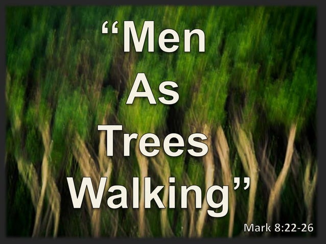 Men Like Trees Walking | PPTX