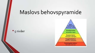 Menneskets ulike behov | PPT