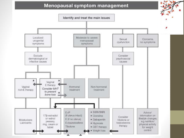 Menopause | PPTX | Menopause | Endocrine and Metabolic Diseases