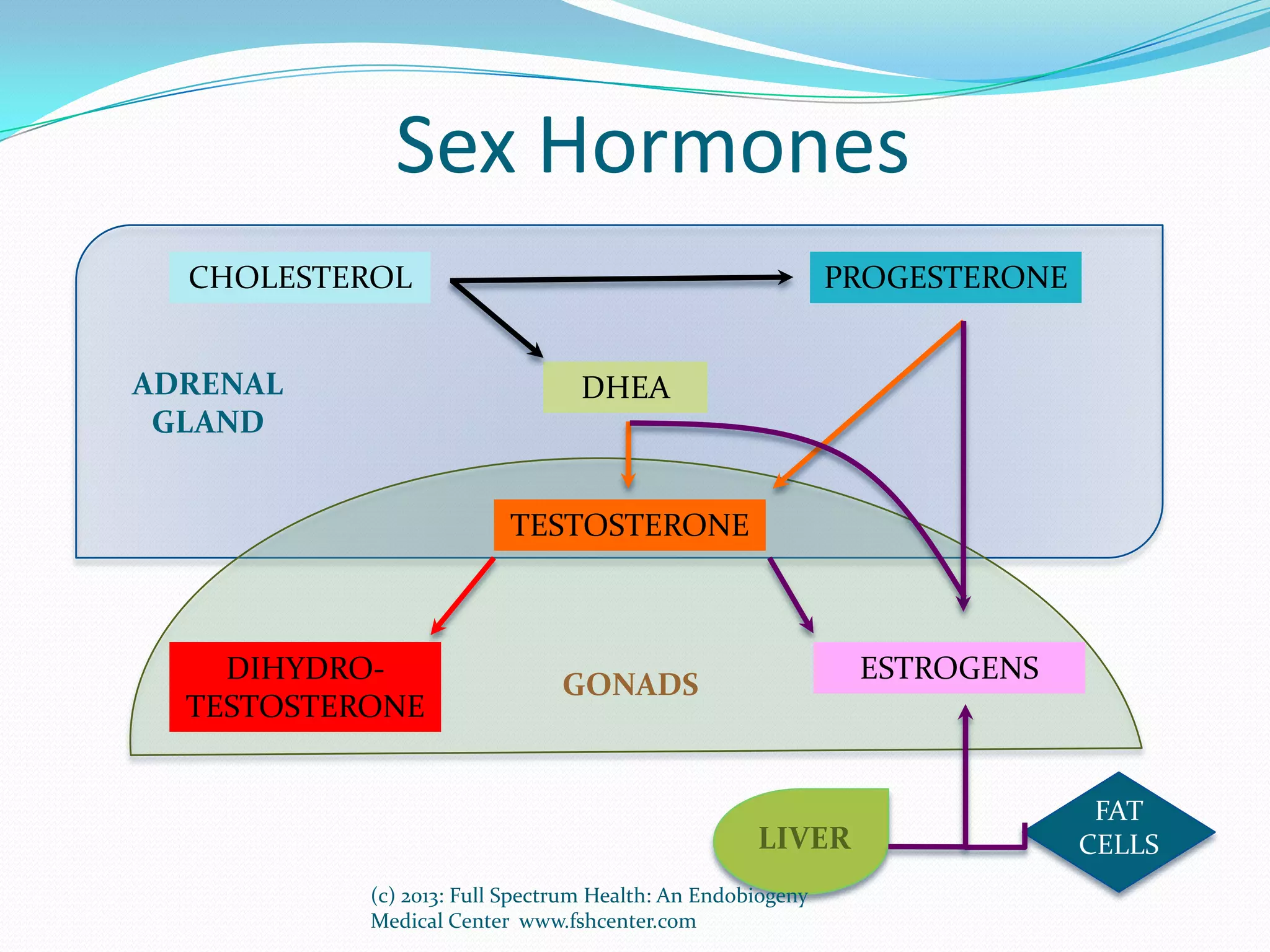 Menopause andropause | PPTX