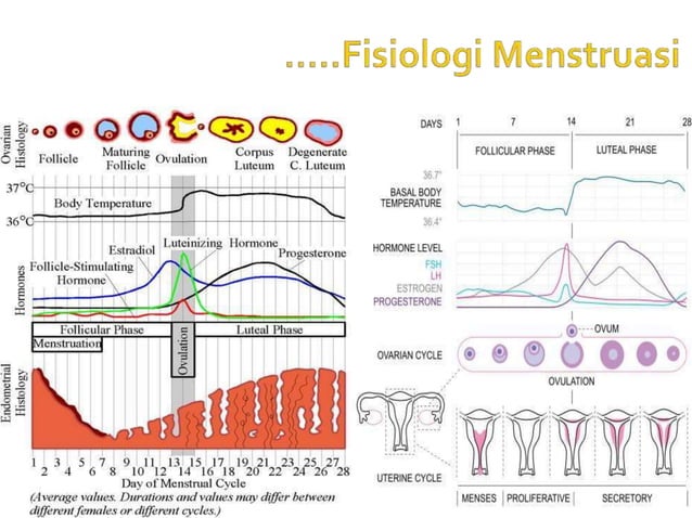 Menopause ppt | PPTX