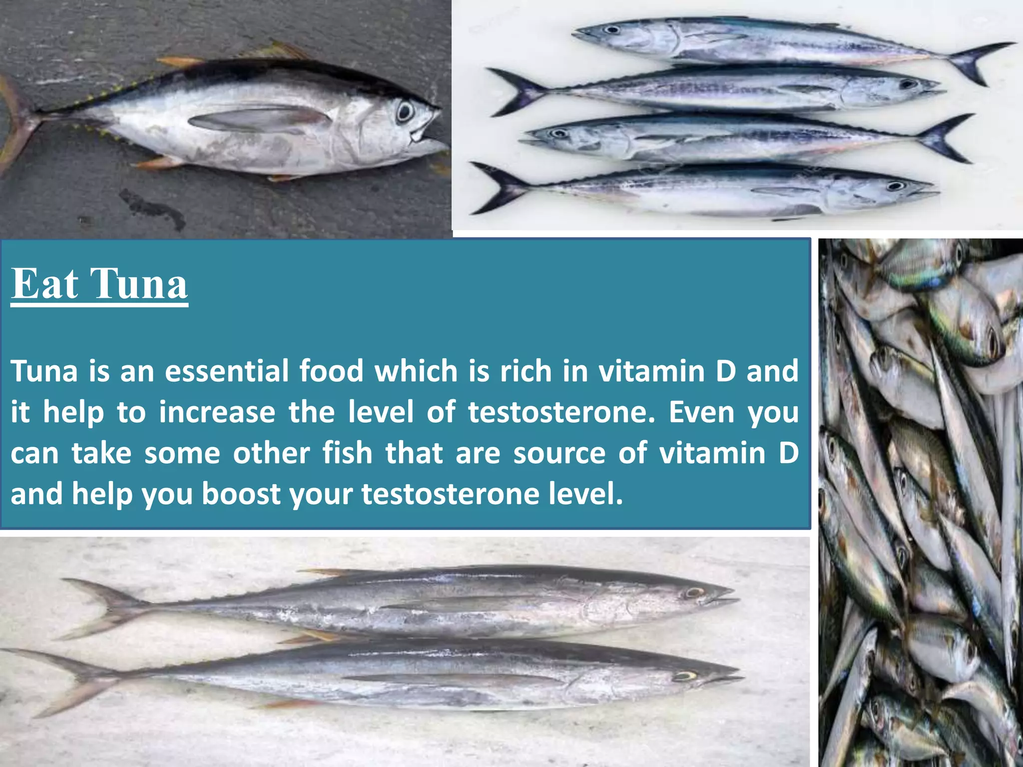 Top foods to increase testosterone level | PPTX