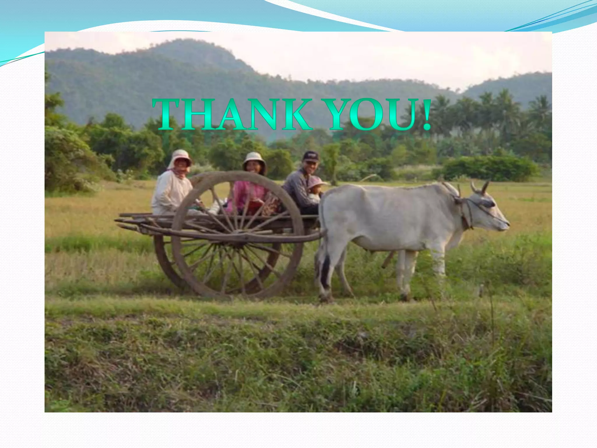 The seed sector in Cambodia- Men Sarom | PPTX