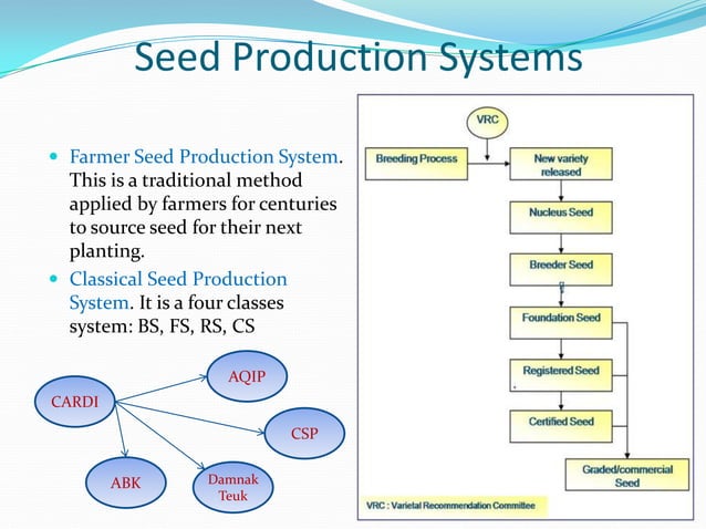 The seed sector in Cambodia- Men Sarom | PPTX