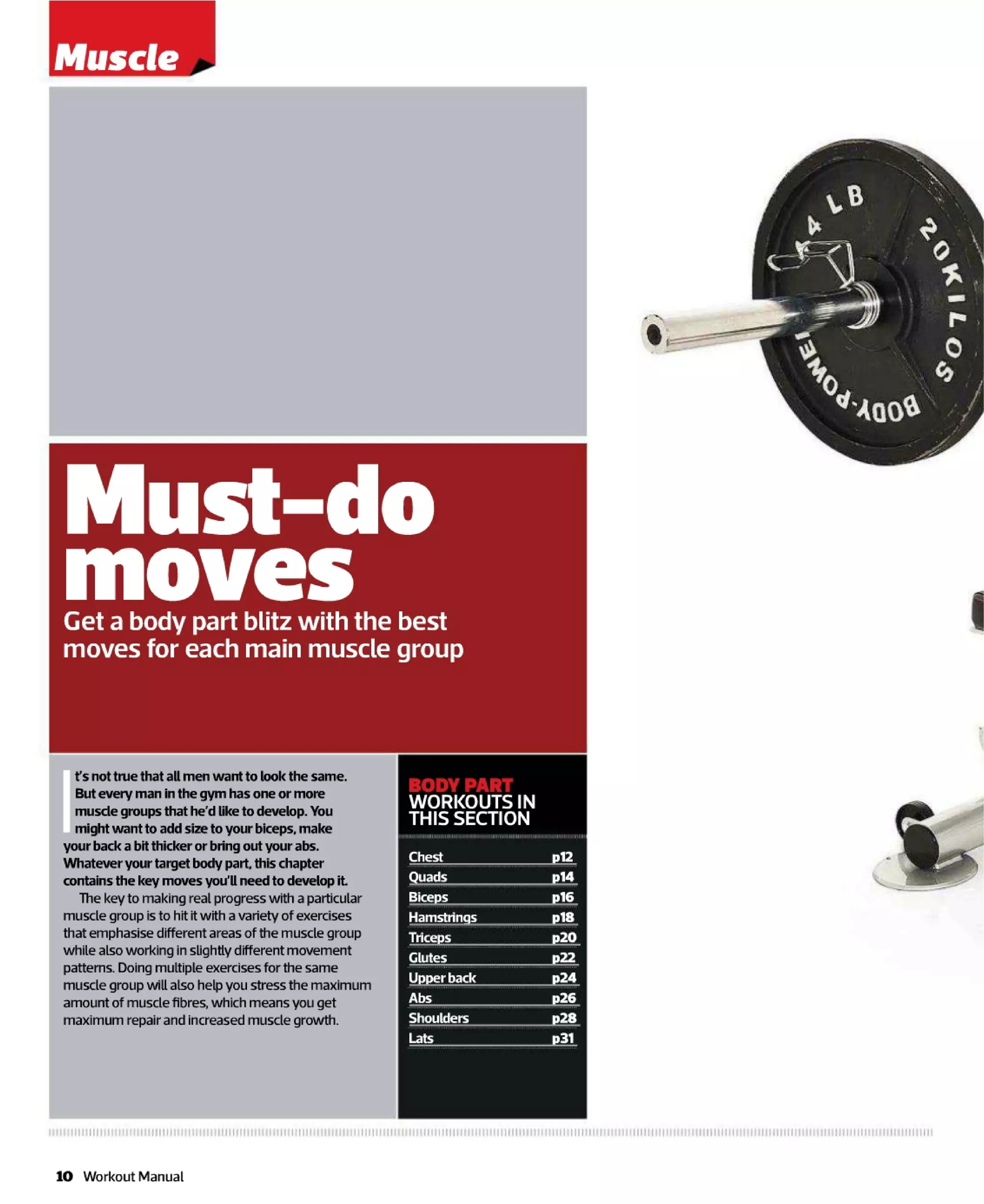 Men's fitness workout manual your guide to building muscle and burning ...