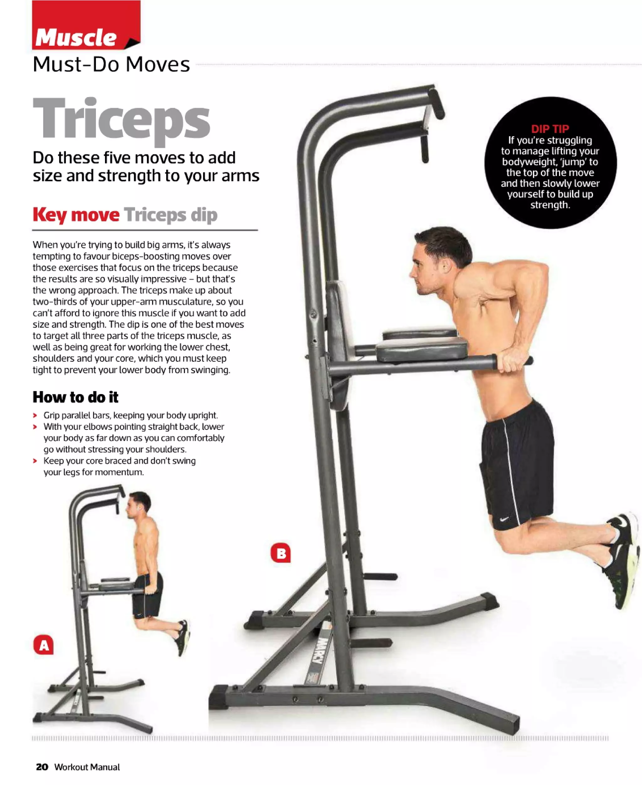 Men's fitness workout manual your guide to building muscle and burning ...