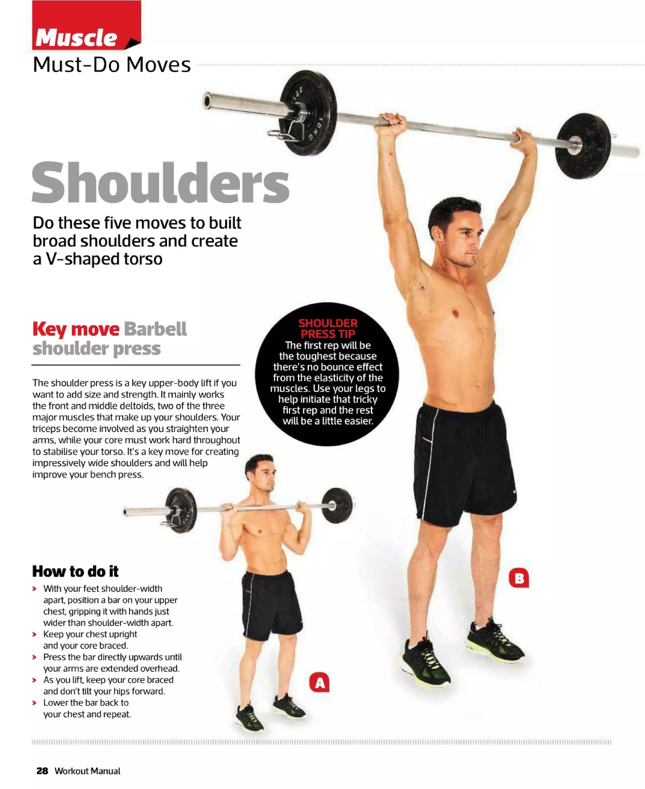 Men's fitness workout manual your guide to building muscle and burning ...